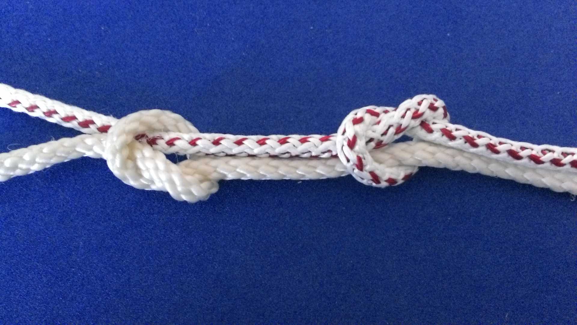 Home | Gatsby Tailwind FontAwesome Starter